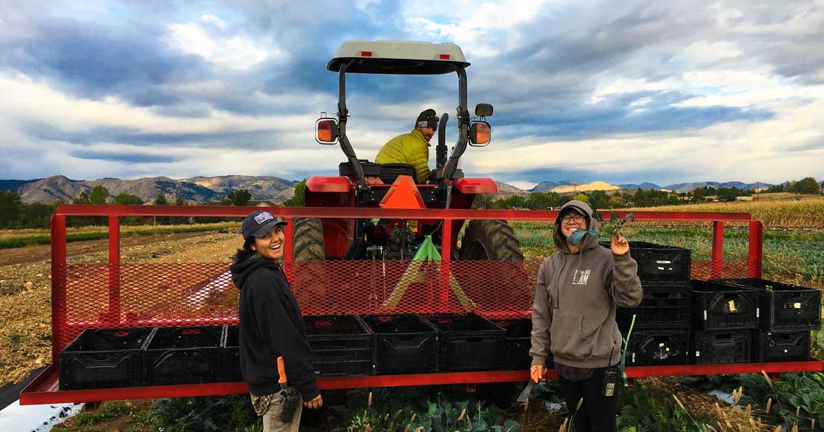 Marbleseed Conference